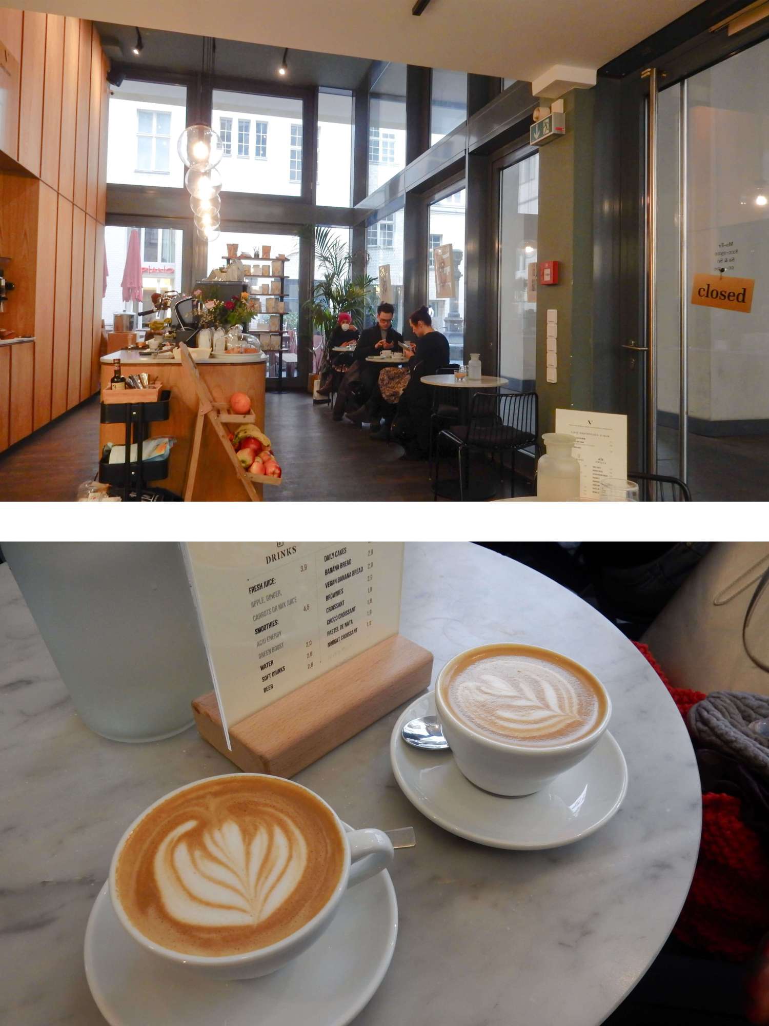 Berlin coffee guide – palmtrees and sunshine